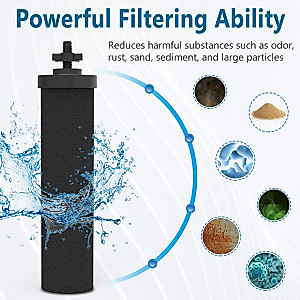 2 Pack Water Filter Compatible with Black Purification Elements Purifier Gravity Doulton Super Sterasyl and Traveler Nomad King Big Series