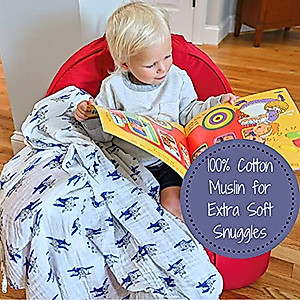 LollyBanks Muslin Swaddle Blanket for Baby Boy |Trucks, Airplanes, and Trains |100% Cotton |New Borns and Infants |Large 47 x 47 inches |Machine Washable