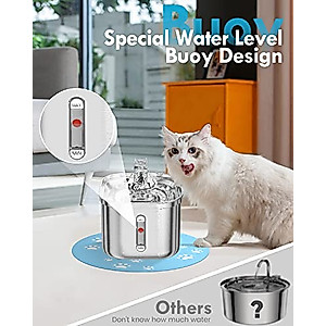 Rantizon Cat Water Fountain, 74oz/2.2L Stainless Steel Cat Fountain Water Bowl, Quiet Electric Automatic Pet Water Fountain with Silicone Mat, Water Fountain for Cats Inside for Cats Dogs Pets