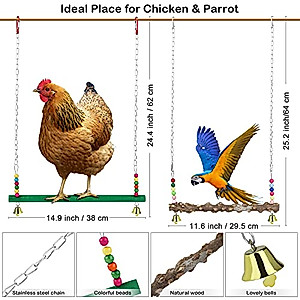 Tiibot 10 Pieces Chicken Toys Set for Hens Including Chicken Xylophone Toy Chicken Coop Mirrors Swing Ladder Toys Chicken Pecking Toys Veggies Skewer Vegetable Hanging Feeder for Chicken Coop