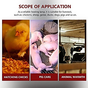 Egg Candler Lamp Farm Livestock Chicken Heat Lamp Holder Piglet Heating Lamp Light Heat Preservation Tools for Replacement Insulation Livestock Fertile Eggs for Hatching Egg Incubator