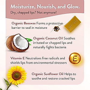 Moroccan Magic Organic Pure Coconut Lip Balm 3 Pack | Chapsticks for Dry Lips | Natural Argan & Essential Oils Lip Moisturizer + Vitamin E | Smooth, Hydrating, Non-Toxic | Organic Lip Balm Set