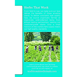 Traditional Medicinals Organic EveryDay Detox Schisandra Berry Detox Tea, 16 Tea Bags (Pack of 2)