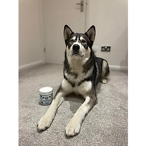 Pet Hip & Joint Supplements - Krill Oil and Glucosamine for Dogs Soft Chews, Joint Supplement for Dogs with Krill Oil,Glucosamine, Chondroitin, MSM, Turmeric, Anti Inflammatory, Mobility (Beef 90ct)