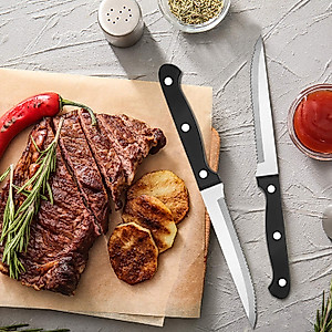 53-Piece Silverware Set with Steak Knives Serving Utensils, E-far Stainless Steel Flatware Cutlery Set for 8, Modern Tableware Eating Utensils for Restaurant Kitchen, Mirror Polished, Dishwasher Safe