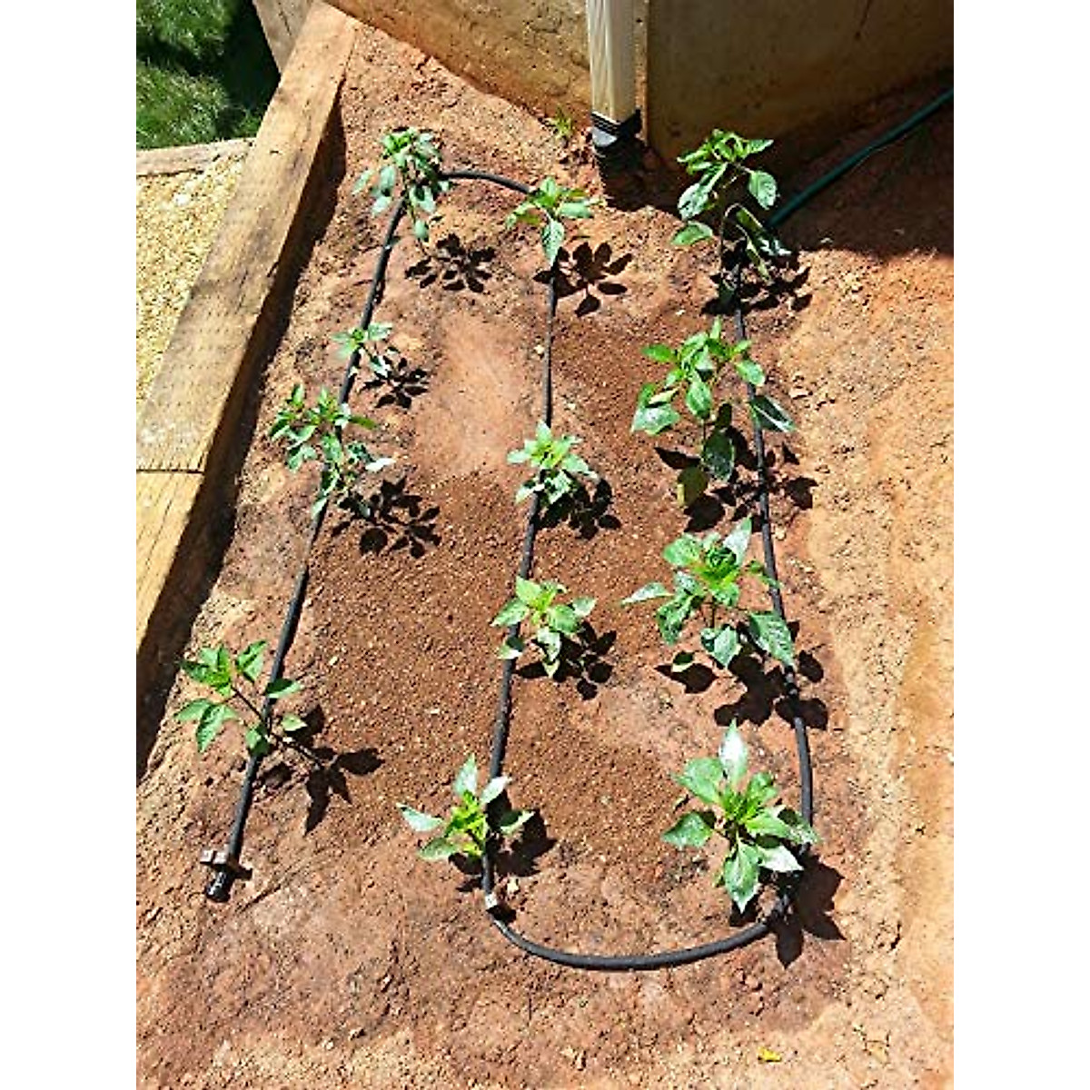 Rocky Mountain Goods Soaker Hose Flat 50 ft - Heavy Duty Double Layer Design - Saves 70% Water - Consistent Drip Throughout Hose - Leakproof Guarantee - Garden/Vegetable Safe