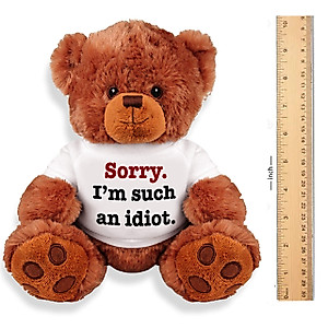 "SORRY I'M SUCH AN IDIOT" 13" Inch Teddy Bear - Cute And Cuddly : Funny Teddy Bear Couple Gift : Romantic Cute Teddy Bear Stuffed Animal