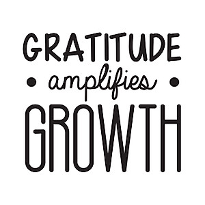 Vinyl Wall Art Decal - Gratitude Amplifies Growth - 22" x 25" - Trendy Inspirational Cute Optimistic Quote Sticker for Home Bedroom Closet Kids Room Living Room Playroom Office Decor (Black)