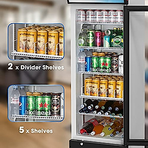 COTLIN Commercial Merchandiser Refrigerator with LED Lighting Single Glass Door, 9.0 Cu Ft Upright Display Beverage Cooler with Extra Shelves Drink Holders, ETL NSF Approved
