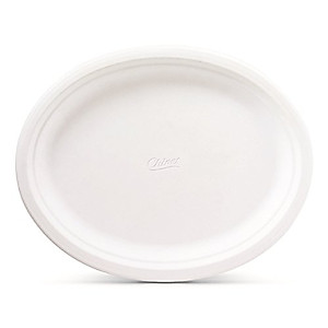 Chinet Premium Paper Platters, 10 Inch