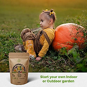 25 Summer Vegetable Garden Seeds Variety Pack for Planting Outdoors and Indoor Home Gardening 2500+ Non-GMO Heirloom Veggie & Salad Green Seeds: Collards Tomato Pepper Okra Onion Bean Cucumber & More