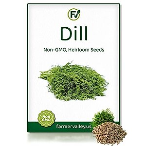 Dill Seeds for Planting Home Garden Herbs - Individual Pack of 300+ Heirloom Seeds, Suitable for Outdoors, Indoors, and Hydroponics - Non-GMO, Non-Hybrid, Untreated, and USA Grown Variety