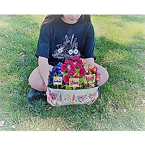 Kids Paint & Planting Flower Growing Kit, 27Pcs Childrens Gardening Plant Kits Arts & Crafts Garden Toy Set Birthday for Girls & Boys Age 4, 5, 6, 7, 8-12 Years Old