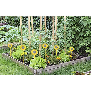 Bird B Gone MMFSL-6 Scare Bird Garden Stakes