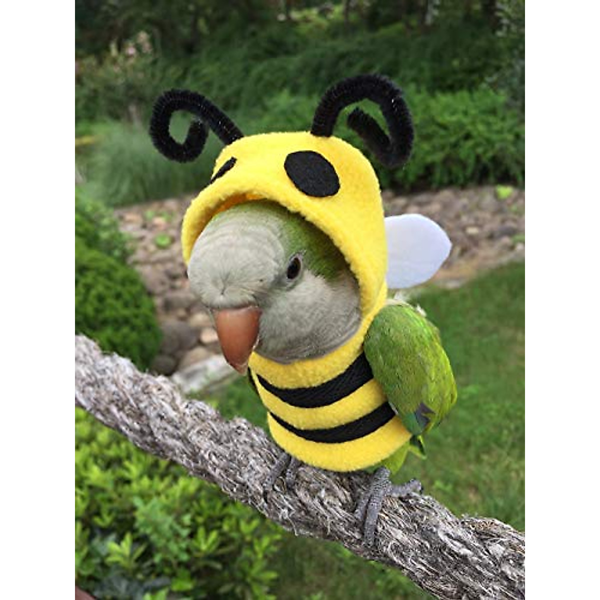 Parrot bird supplies, light flying clothes, warm and comfortable, tiger skin, green cheek parrot, little sun parrot, monk parrot, starling, mynah, Senegal parrot, mini macaw, Keck parrot, etc. (2M)