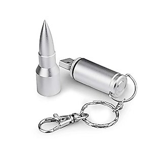 RAOYI 64G USB Flash Drive USB 2.0 Metal Memory Stick Pen Drive Thumb Drive Zip Drive with Key Chain (Silver)