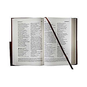 La Biblia Católica: Edición letra grande. Tapa dura, marrón, con Virgen de Guada lupe en cubierta / Catholic Bible. Hard Cover, brown, with Virgen