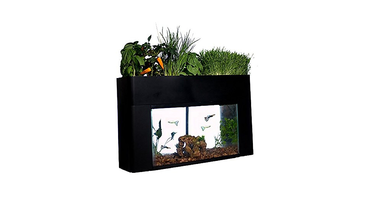 AquaSprouts Garden: Self-Sustaining Aquarium Kit