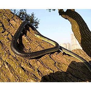 Yoogeer 47 Inches Rubber Lifelike Snakes Scary Gag Gift Incredible Creatures Chain Snakes Rain Forest Snake Toys Wild Life Snakes