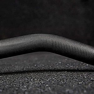 papababe 56'' Olympic Curl Bar, EZ Curl Barbell, 500 LB Weight Capacity Galvanized Lifting Bar for Strength Training, Biceps Curl and Triceps Extensions, Workout Barbell Super Suitable for Weightlifting, Hip Thrusts,Squats and Lunges