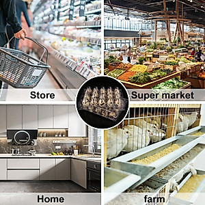 KUKLIPJIM 150 Pack Quail Egg Cartons, Clear Plastic Quail Egg Trays, Holds up to 20 Quail Eggs Securely - Your Ultimate Small Eggs Carton Holders for Bulk Storage and Display