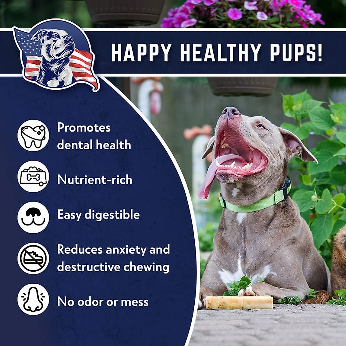 Devil Dog Pet Co Yak Cheese Himalayan Dog Chew - Premium Yak Chew - Heavy Duty All Natural Dog Treat for Teething Puppy and Aggressive Chewers - USA Veteran Owned Business (Large - 1 Pack)