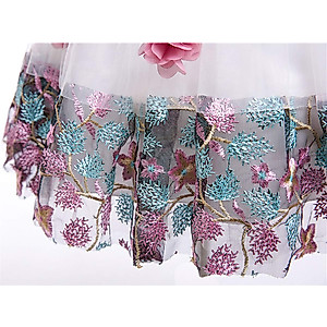 NSSMWTTC Flower Girls Dresses Frocks Child Easter Pageant Party Baby Toddler Easter A Line Dress 9M 12 Months (Pink,12M)