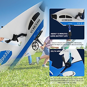 QI XING QX 2 CH Remote Control Airplane, 2.4Gh RC Airplane with Light Strip, RC Plane Ready to Fly, Easy to Fly RC Plane for Kids & Beginner,2023 You can Fly Any time Any Place (Blue)