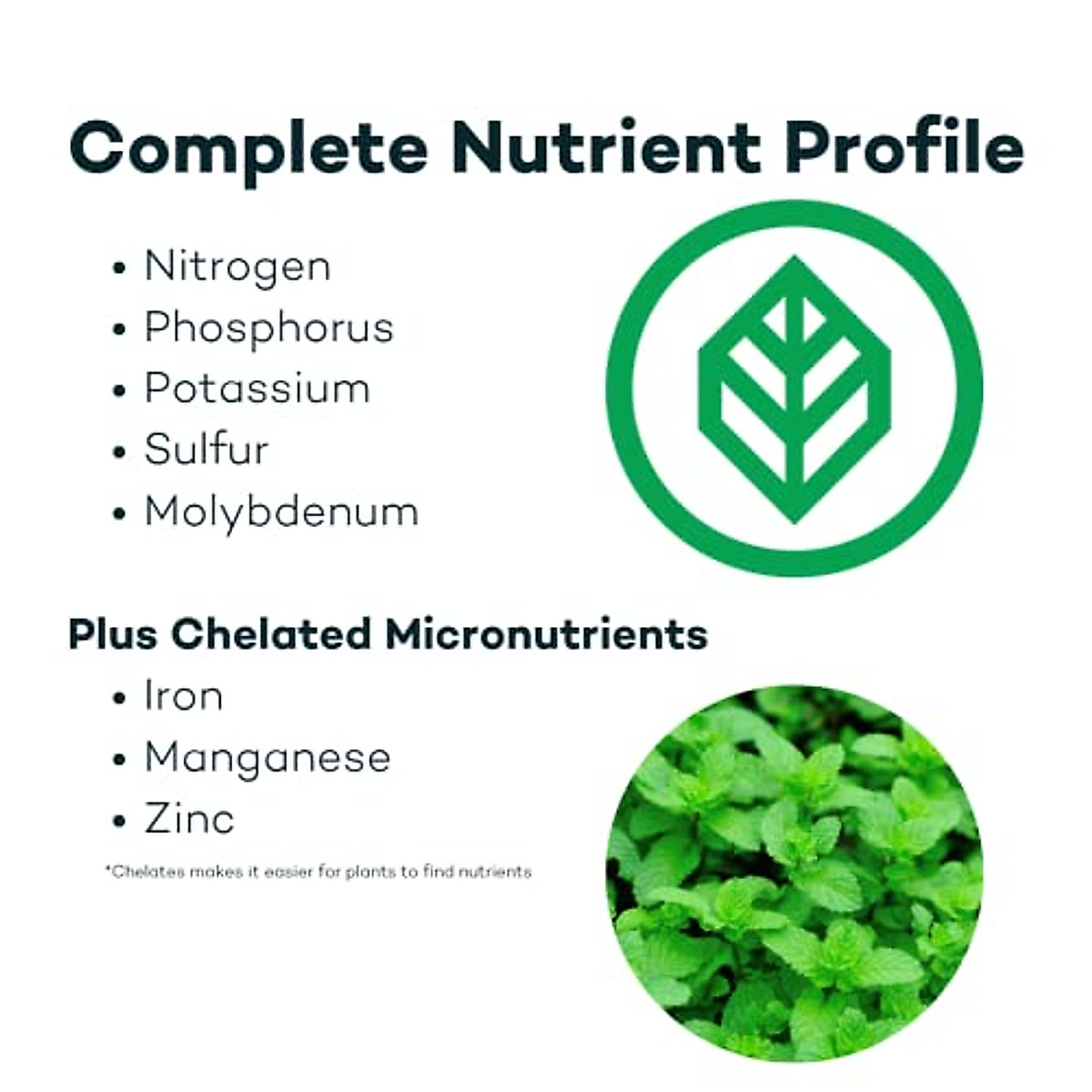 Fitleaf Leaf Vitality All Purpose 20-20-20 (3.52 oz) – Premium Foliar Feed Water Soluble Fertilizer to Spray for All Plants – Promotes Biomass Growth and Vibrant Leaf Color, Complete Plant Nutrition with Amino Acids (3.53 oz)