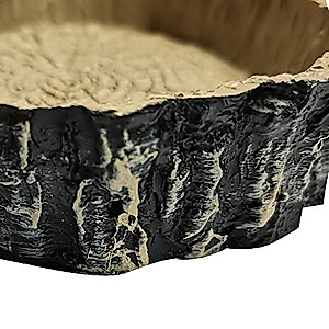 Reptile Water Dish Feeder Bowl Pet Feeding Tray Environmentally Friendly Resin for Tortoise, Gecko, Turtle, Snake, Lizard, Spider, Chameleon