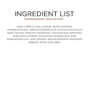 PHYTO PARIS Phytodéfrisant Anti-Frizz Touch Up Care, 1.69 fl. oz.