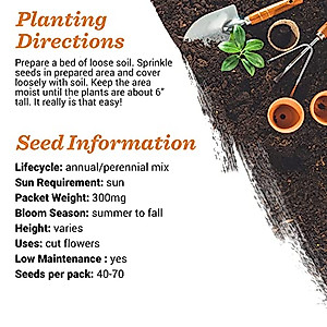 BENTLEY SEED CO. Oh Baby Flower Seeds Packets - Girl/Boy Baby Shower Favors - Pre-Filled, 25 Wildflower Seed Packs for Favor - Eco-Friendly Gift & Babys Guest Giveaways - Non-GMO Seeds - Brown Envelop