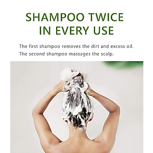 Aromase 5α Intensive Oily Hair Solution Kit (5α Juniper Scalp Purifying Liquid Shampoo 2.8 Fl Oz + 5α Intensive Oily Hair Balancing Essential Shampoo 14 Fl. Oz) for Oily Scalp, Oil Smells