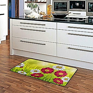 White and Red Daisy Floral Kitchen RugsCute Ladybugs Kitchen Mat Vibrant Cushioned Chef Soft Non-Slip Floor Mats Washable Doormat Bathroom Runner Area Rug Carpet