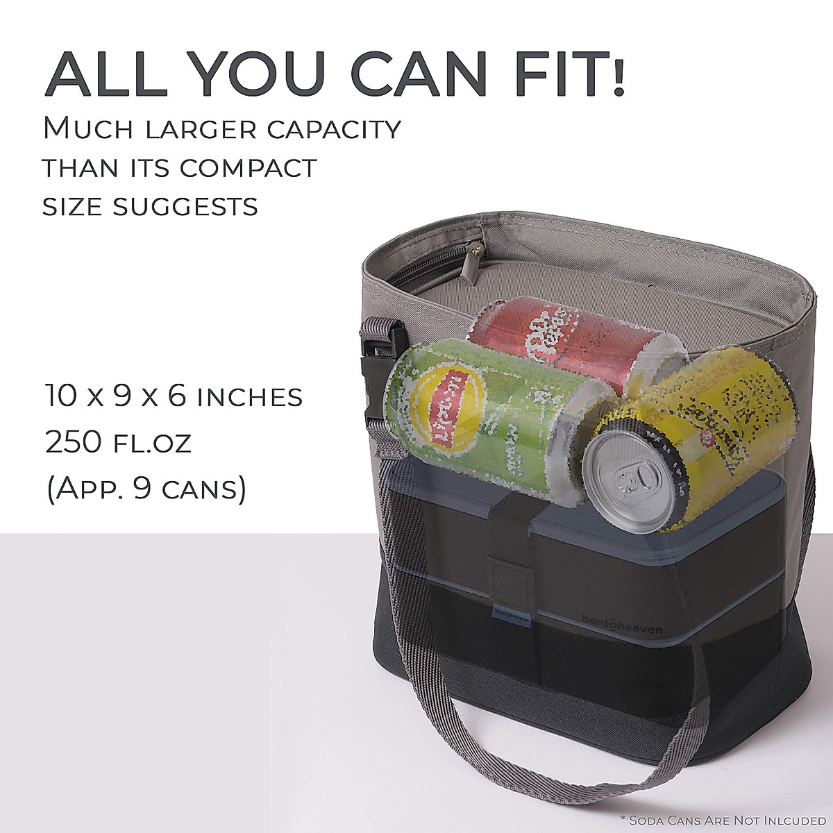 Bentoheaven Premium Bento Lunch Box with Insulated Lunch Bag - Includes Sauce Cup, Divider, Cutlery & Chopsticks - Made of Oxford Fabric