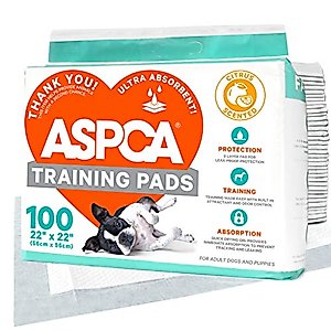 ASPCA AS 62931 Citrus Scented Training Pads, 100 Pack, Gray, 22" x 22" - Pack of 100