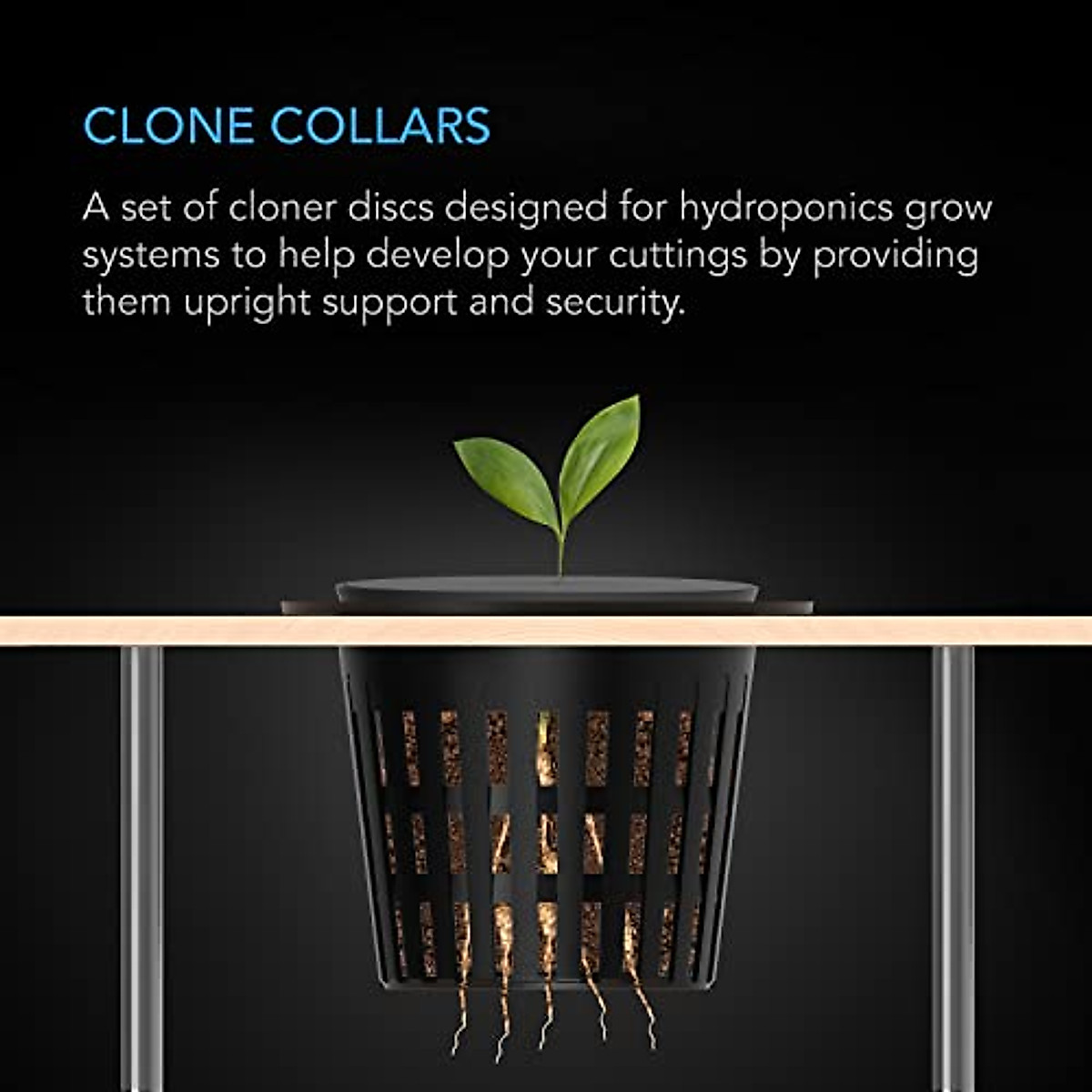 AC Infinity Clone Collar 3-Inch, Cloner Inserts with 8-Spoke Design, 50-Pack for Use with Net Cups in Hydroponics Growing Systems, Aeroponics, Cloning Machines, and Home Gardening