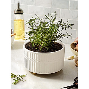 LE TAUCI Succulent Pots, 6.5+8 Inch Ceramic Indoor Plant Pot with Drainage Hole, Modern Round Decorative Flower Pot, Gifts for Mom, Set of 2, Matte White