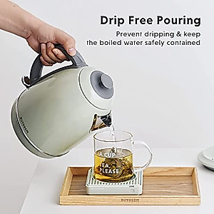 BUYDEEM K640 Stainless Steel Electric Tea Kettle with Auto Shut-Off and Boil Dry Protection, 1.7 Liter Cordless Hot Water Boiler with Swivel Base, 1440W, Cozy Greenish