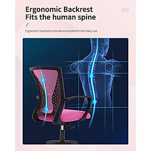 Home Office Chair Mid Back PC Swivel Lumbar Support Adjustable Desk Task Computer Ergonomic Comfortable Mesh Chair with Armrest (Pink)