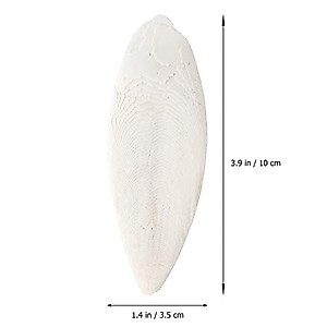 TEHAUX Bird Cuttlebone for Parakeets, Natural Cuddle Bone, Chewing Cuttlefish Bone for Sharp Beaks, Natural Birds Calcium Suitable for Parrot Cockatiels Budgie Conures