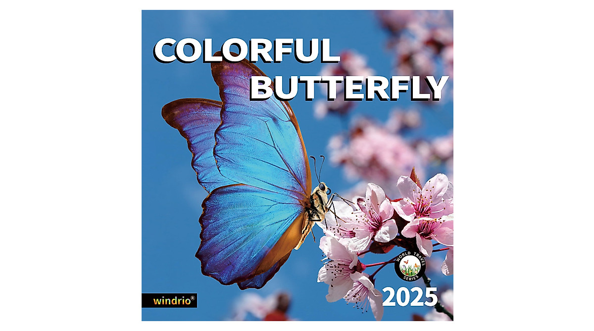 2024-2025 Butterfly Wall Calendar 18 Months | Organize & Plan