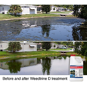Weedtrine D Aquatic Herbicide, 1 gal