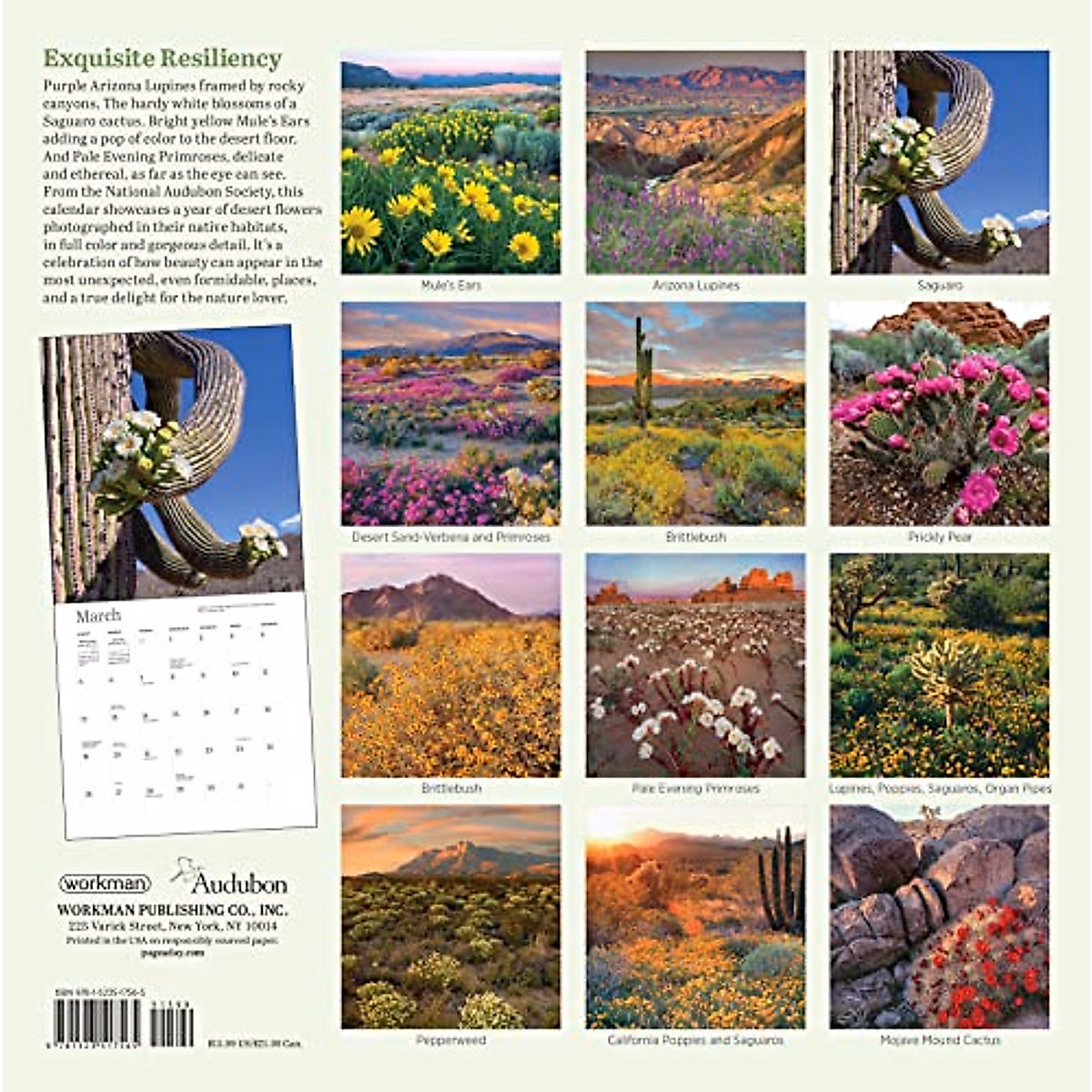Audubon Desert Wildflowers Wall Calendar 2023: A Visual Delight for Nature Lovers and Gardeners Alike