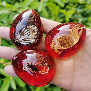 Colourful Amber Fossil Insect Artificial Amber Insect Specimen Pendant Amber Stone Ornament for Collection,Science Education (12 PCS)