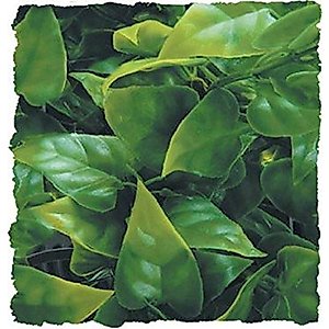 Zoo Med Naturalistic Bush Plant Mexican Phyllo, Large