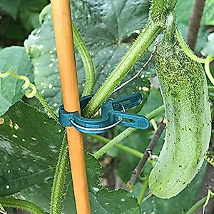 Sago Brothers 40 PCS Plant Clips Garden Clips for Tomato Cage, Tomatoes Clips Plant Support Clips for Bamboo Stakes, Climbing Plants, Vines, Gentle Plant & Flower Trellis Clips for Plant Stalks, Stems