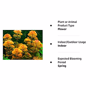 Red Cabomba Aquarium Plants Live for Growing Indoor, 5 Stems, 4 Inches to 6 Inches Tall, Planting Ornaments Perennial Garden Simple to Grow Pots Gifts