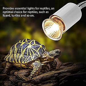 Dehydrator Reptile Heat Lamp 220-240V Healthy Lamp Bulbs Aquarium Heat Basking Spot Light Spiral Compact Reptile Sunlight for Reptile Snake Lizard Tortoise Gecko (Color : White-75W)