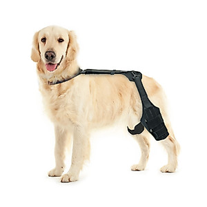 MerryMilo dog knee brace for torn acl hind leg -Upgraded Anti-Slip, Support for Cruciate Ligament Injury, Arthritis, Joint Pain, Muscle Sore, CCL Brace(Size: L, Left Leg)